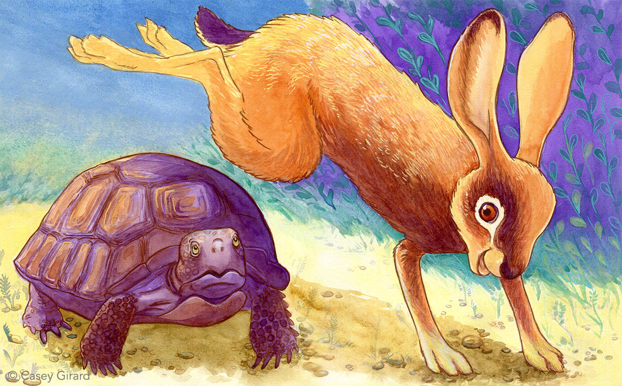 Casey Girard Illustration