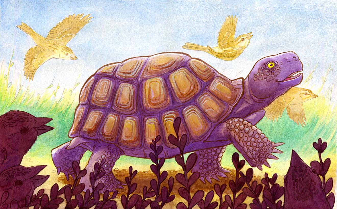 Casey Girard Illustration