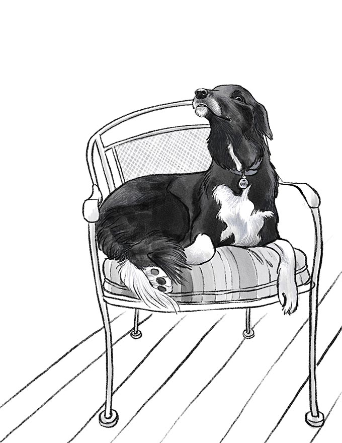 Casey Girard Illustration