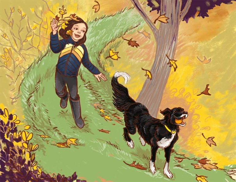 Casey Girard Illustration